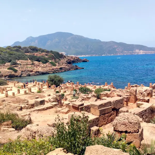 Hotel in Tipaza